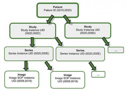 DICOM standard | Internet with a Brain